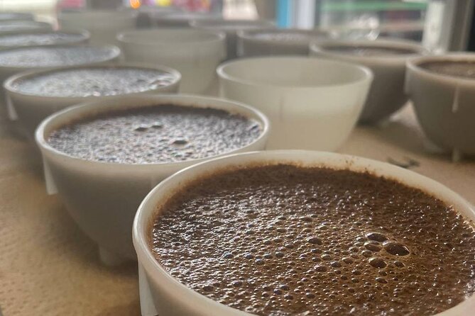 2-Hour Specialty Coffee tasting in Ljubljana - A Deep Dive into Ljubljana’s Specialty Coffee Tasting Experience