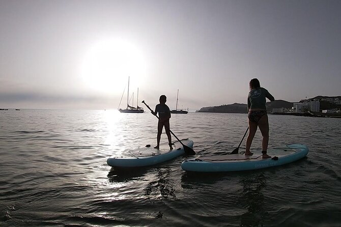 2 Hour Stand Up Paddle Lesson in Gran Canaria - Instructor Profile and Expertise