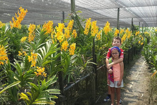 2-hour SUNSET Canal Tour + FOODS Tasting with Tour Guide - Practical Tips for Participants