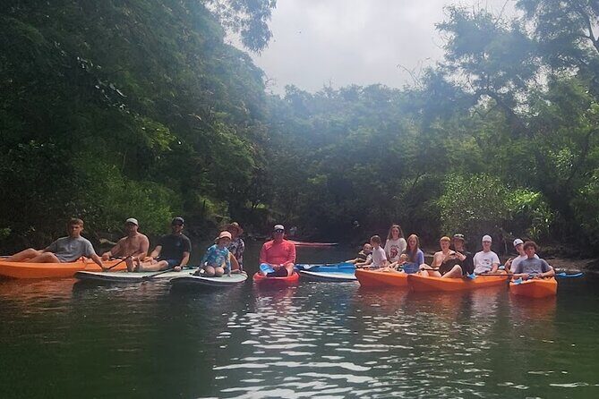 2 hour tandem kayak rental at our private launch area in Hale'iwa - What You Can Expect During Your Trip