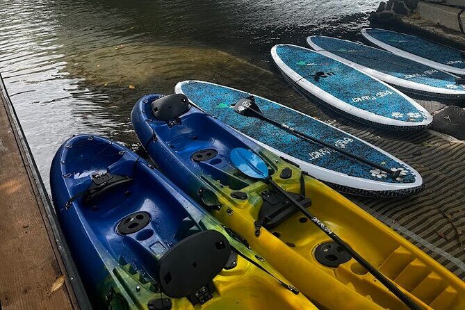2 hour tandem kayak rental at our private launch area in Hale'iwa - The Practical Side: Value and Convenience