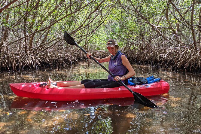 2 Hour Tandem Kayak Tour (Price for 2 People) - Key Points