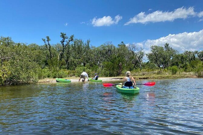 2 Hour Tandem Kayak Tour (Price for 2 People) - Who This Tour is Perfect For