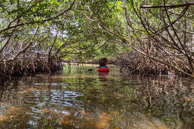 2 Hour Tandem Kayak Tour (Price for 2 People) - Final Thoughts