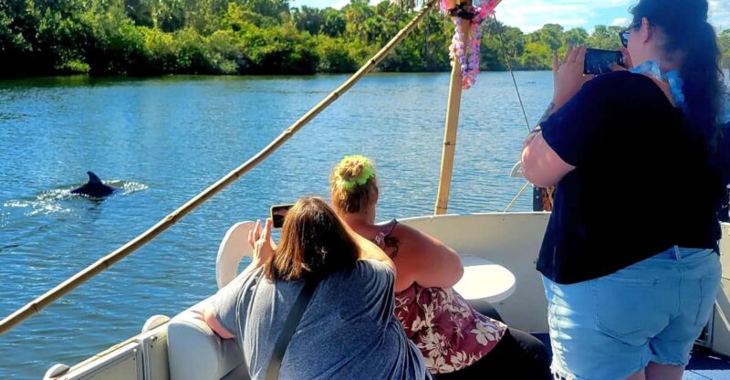 2 Hour Tiki Dolphin Sightseeing Tour in Cocoa Beach - What Makes This Tour Stand Out