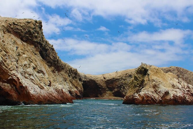 2-Hour Tour to the Ballestas Islands From Puerto San Martín - Recommendations and Feedback