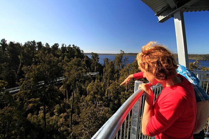 2-Hour Tower Zipline and Walkway Combo Private Guided Activity - An In-Depth Look at the Tour Experience