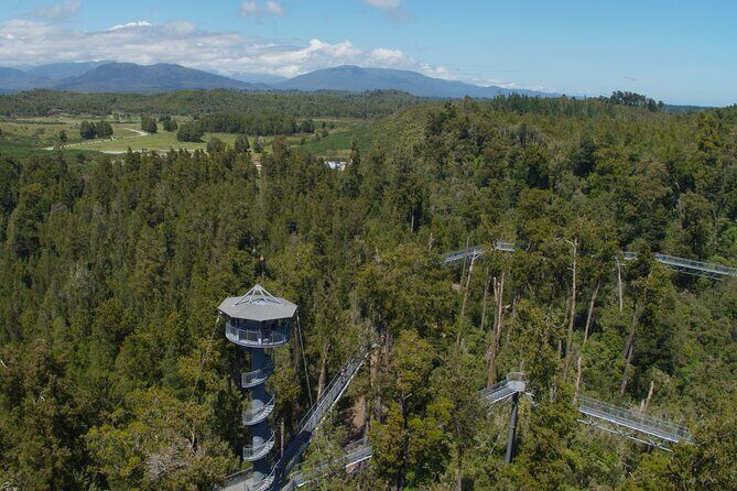 2-Hour Tower Zipline and Walkway Combo Private Guided Activity - FAQ