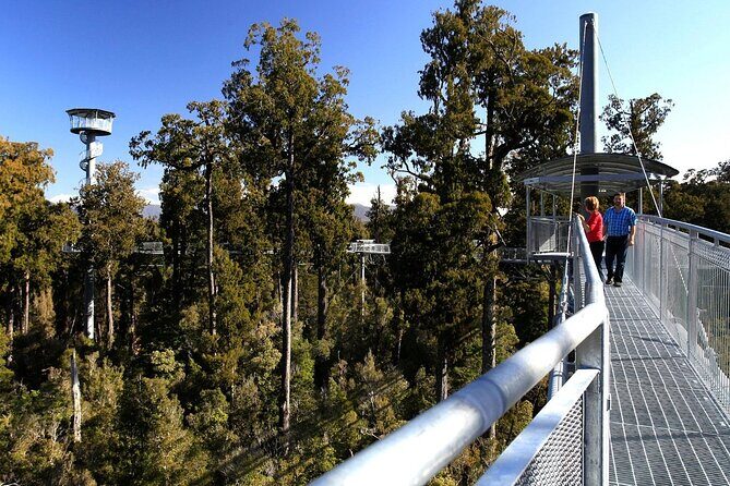 2-Hour Tower Zipline and Walkway Combo Private Guided Activity - Final Thoughts