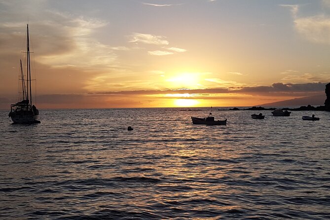 2 Hour Trip to See Whales Dolphins Puerto Colon Adeje - Inclusions and Accessibility