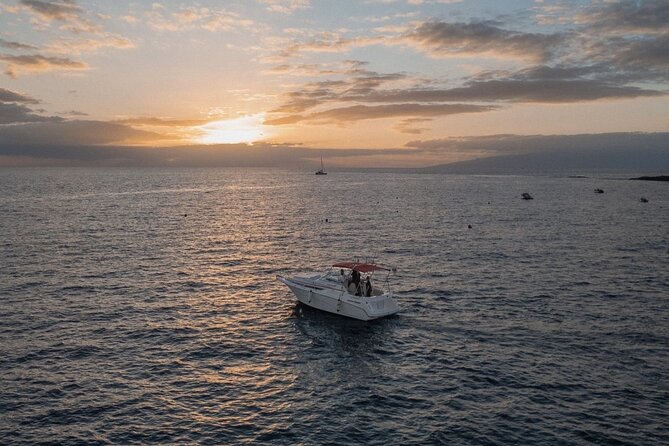 2 Hour VIP Private Luxury Sunset Boat Charter in Tenerife - Key Points