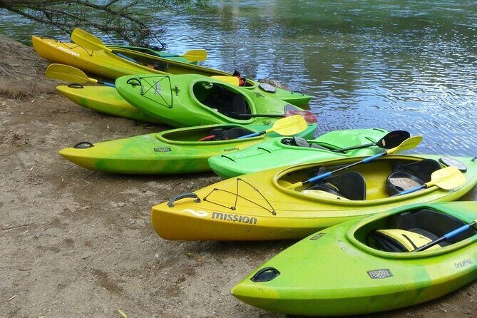 2-Hour Waikato River Guided Kayak Trip from Taupo - Practical Details and Tips