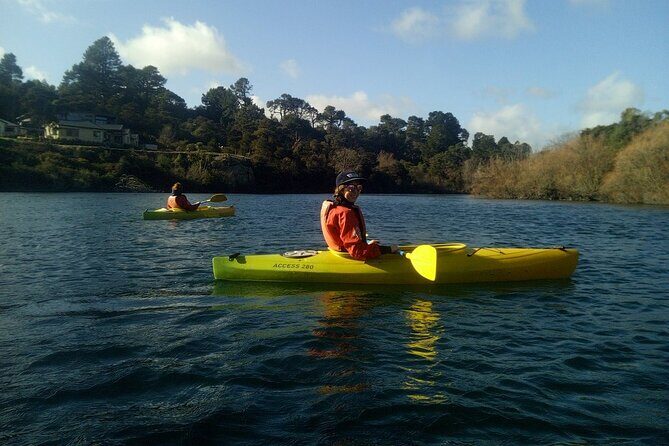 2-Hour Waikato River Guided Kayak Trip from Taupo - What the Reviews Say