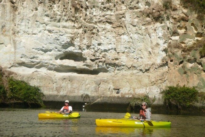 2-Hour Waikato River Guided Kayak Trip from Taupo - Who Will Enjoy This Tour?