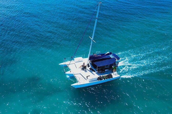 2 Hour Waikiki Whale Watching in Honolulu - Wildlife Sightings and Marine Life