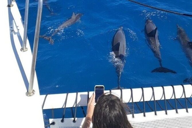 2 Hour Waikiki Whale Watching in Honolulu - Frequently Asked Questions