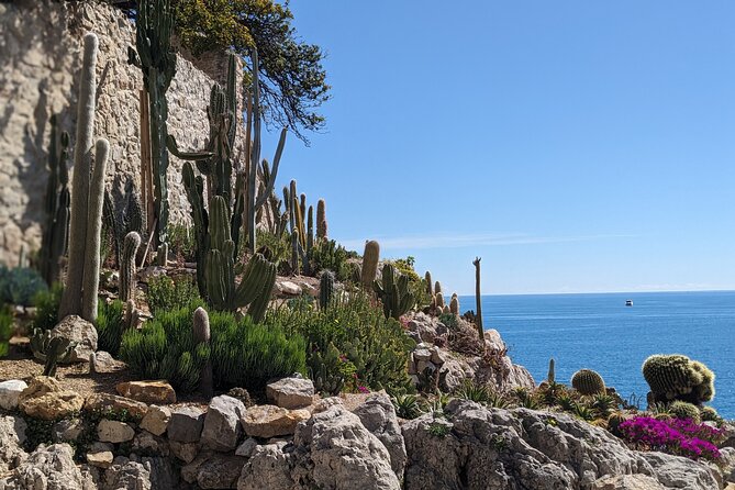 2 Hour Walking Tour in the Old Town of Antibes - Pricing and Booking Information