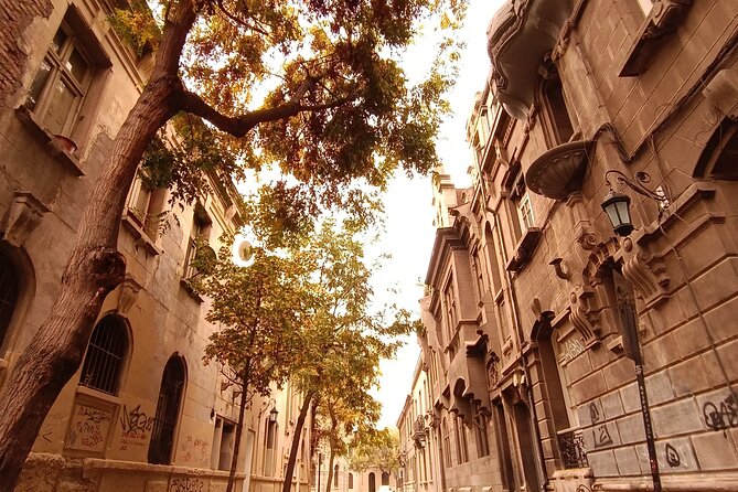 2-Hour Walking Tour of Yungay The Coolest Neighborhood in Chile - Architectural Gems of Yungay