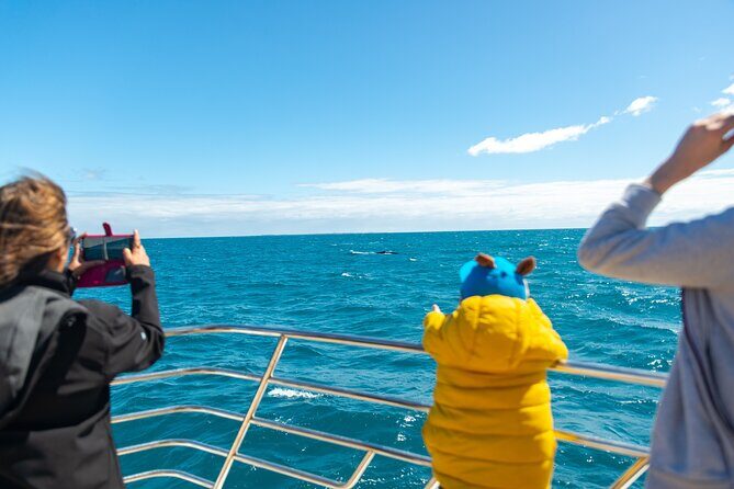 2 Hour Whale-Watching Cruise from Hillarys Boat Harbour - FAQ About the Whale-Watching Cruise