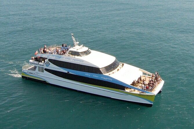 2 hour whale watching experience departing Hillarys Boat Harbour - The Downsides and Considerations