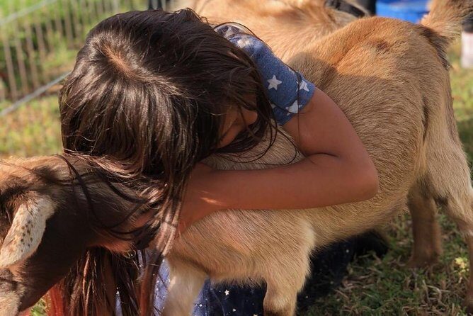 2 Hour Wildflower Horseback Trail Ride experience in Agoura Hills - Who Will Love This Tour?