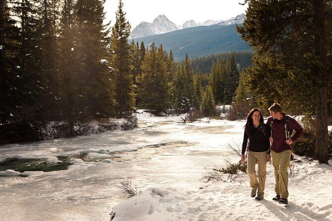 2 Hour Winter Wilderness Walk with Wildlife Tracking - A Deep Dive Into the Winter Wilderness Walk