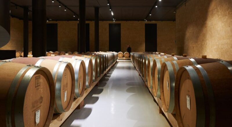 2-Hours Amarone Wine Tour With Sommelier Wine Tastings - Key Points