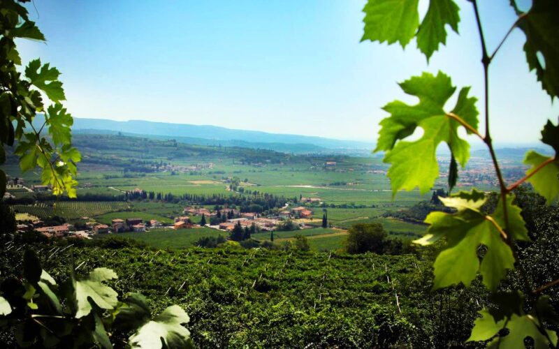 2-Hours Amarone Wine Tour With Sommelier Wine Tastings - Important Information