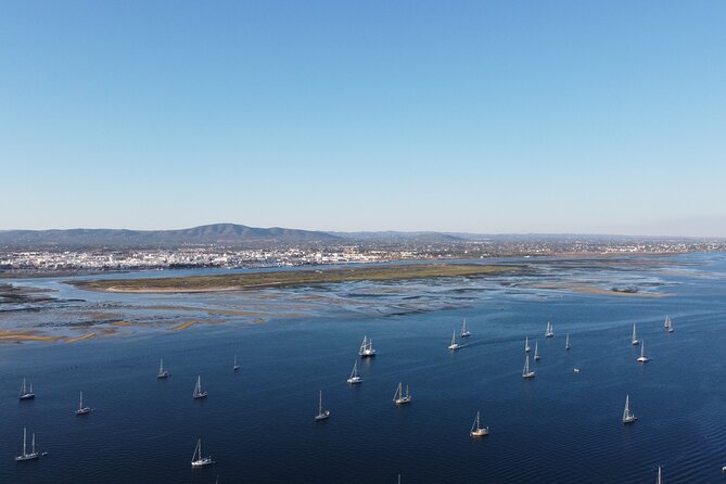 2 Hours Boat Tour Fishermens Route in Ria Formosa - Highlights of the Tour