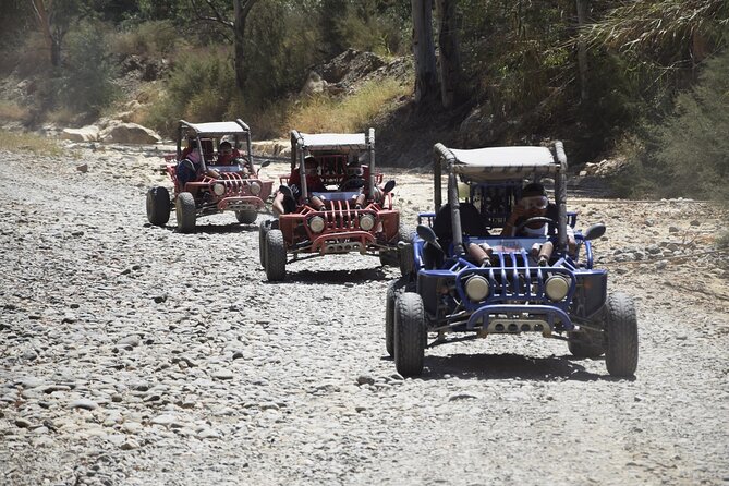 2 Hours Buggy Safari Experience in the Mountains of Mijas With Guide - Negative Feedback and Concerns