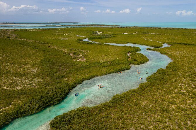 2 Hours Clear Kayaking Activity on Mangrove Cay - A Closer Look at the Experience