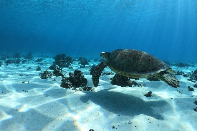 2 hours discovery tour of Moorea by Jet Ski - The Review from Travelers