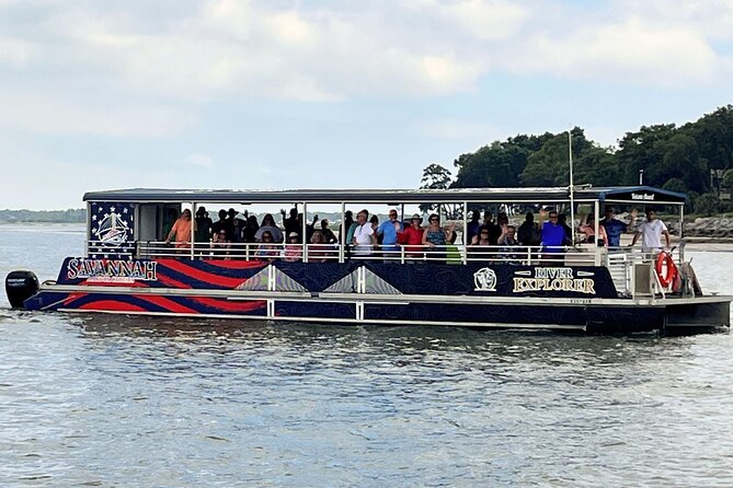 2 Hours Dolphin Eco Tour - Wildlife Spotting