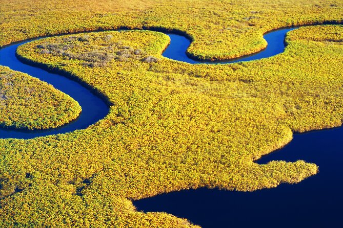 2 Hours Dolphin Eco Tour - On-board Commentary