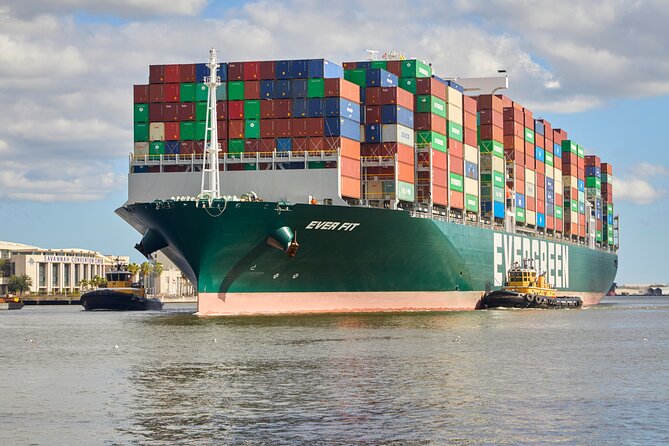 2 Hours Dolphin Eco Tour - Accessibility and Additional Info