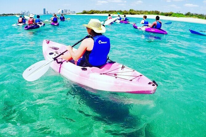 2 Hours Dolphin Kayaking & Snorkeling Tour on the Broadwater - What Travelers Can Expect