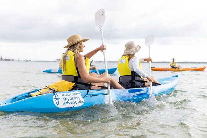 2 Hours Dolphin Kayaking & Snorkeling Tour on the Broadwater - Frequently Asked Questions (FAQs)
