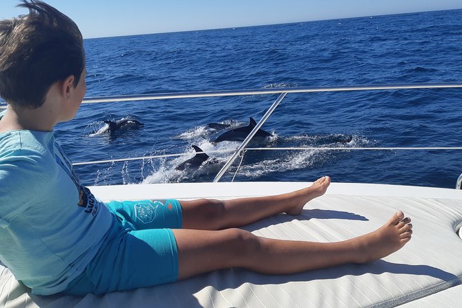 2 Hours Dolphin Watching in Marbella - About Your Stay