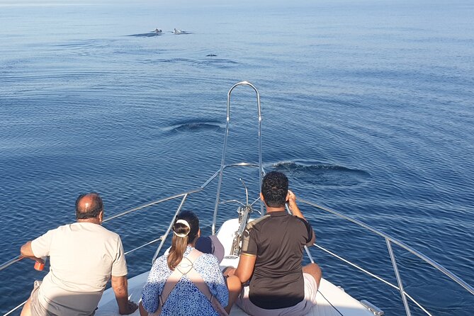 2 Hours Dolphin Watching in Marbella - Benefits of Choosing a Private Tour