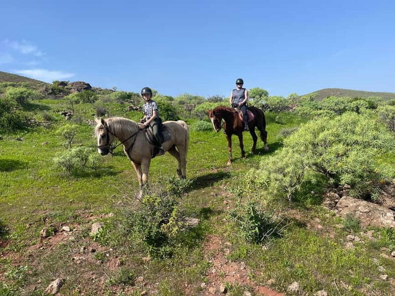 2 hours Green Mountains Horse Riding Tour - An Authentic Horseback Ride in Gran Canaria’s Countryside