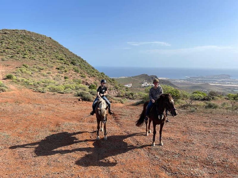 2 hours Green Mountains Horse Riding Tour - What You’ll Experience on the Trail