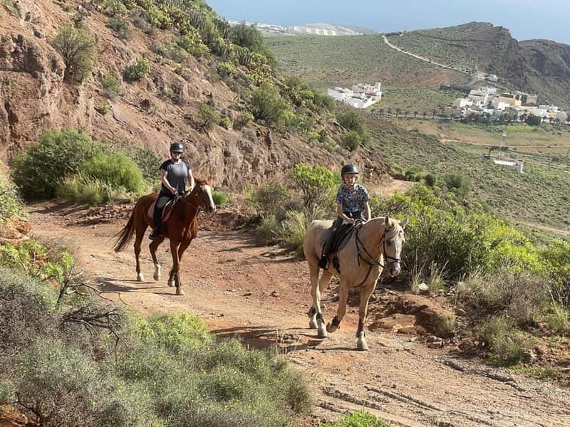 2 hours Green Mountains Horse Riding Tour - The Practicalities: What to Know Before You Go
