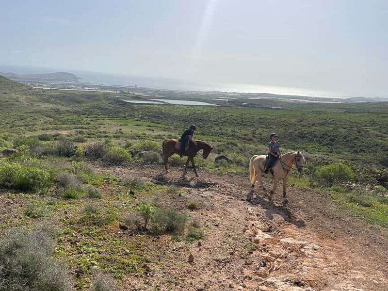 2 hours Green Mountains Horse Riding Tour - The Value of a Two-Hour Horseback Ride