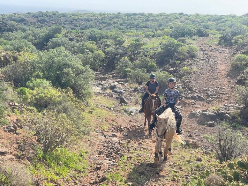 2 hours Green Mountains Horse Riding Tour - Who Should Skip This?
