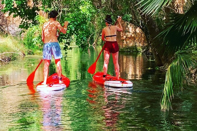 2 Hours guided tour in Sup in the Syracuse coast - Key Points