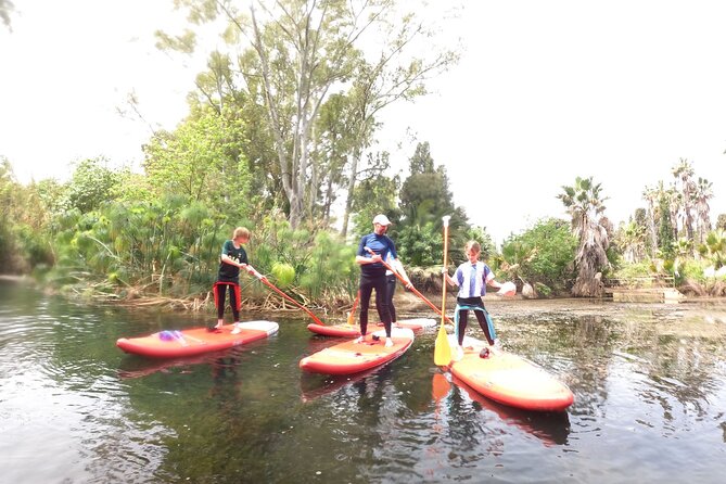 2 Hours guided tour in Sup in the Syracuse coast - Value and Practical Considerations