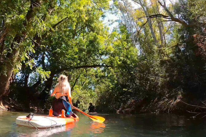 2 Hours guided tour in Sup in the Syracuse coast - Who Is This Tour Best For?