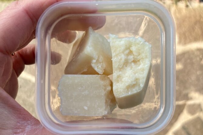 2 Hours Guided Walking Tour in Parma with Culinary Stop - The Sum Up