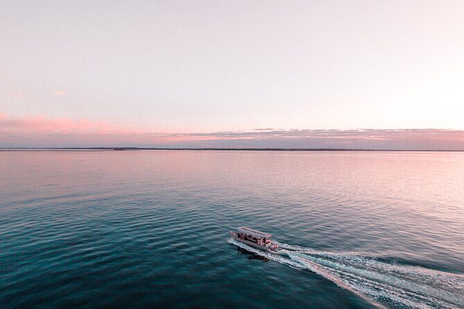 2 Hours Hervey Bay Funset Cruise - Authentic Experiences and Passenger Perspectives