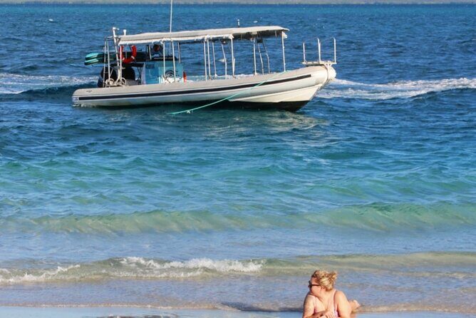 2 Hours Hervey Bay Funset Cruise - The Sum Up: Why This Tour Offers Genuine Value